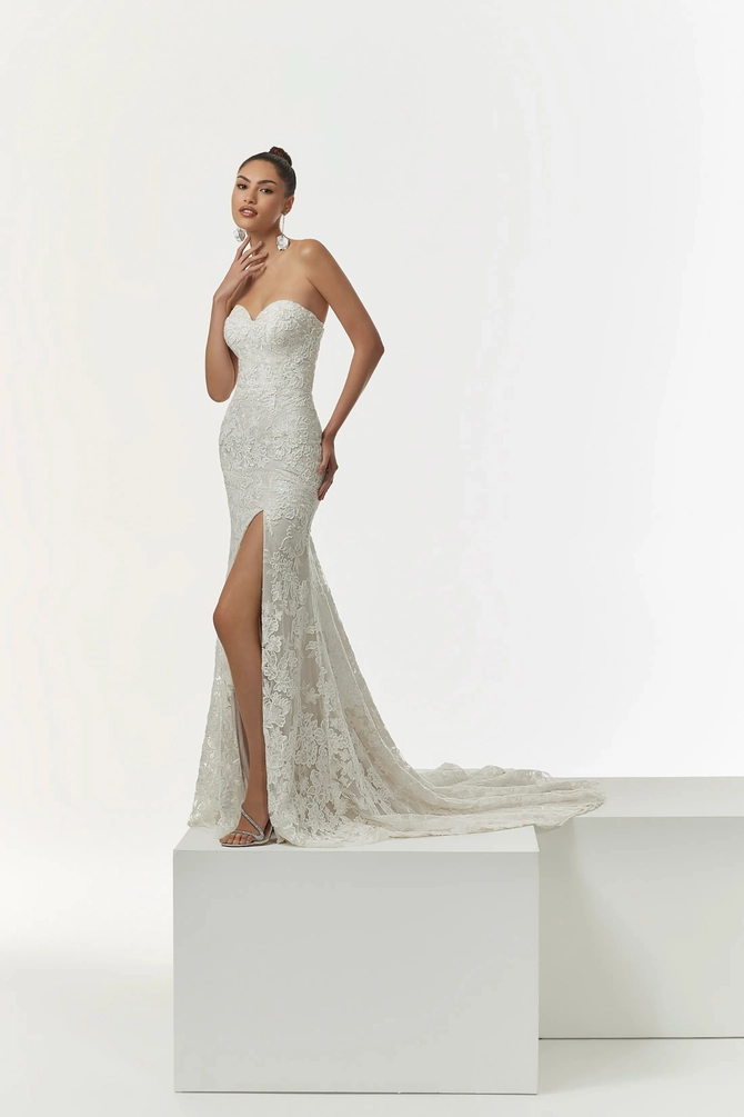 Signature Collection - 1223 | Regiss