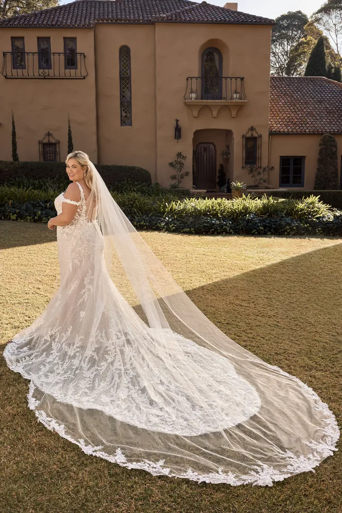 Magnificent bridal veil