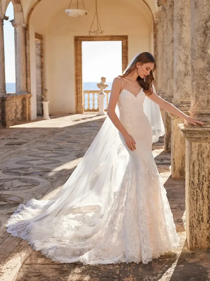 Pronovias | Bridal & Veil - edesia | Bridal & Veil