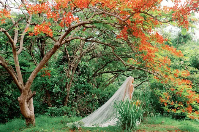 Toni Federici | Gracyn Elizabeth Bride - La perla | Gracyn Elizabeth Bride