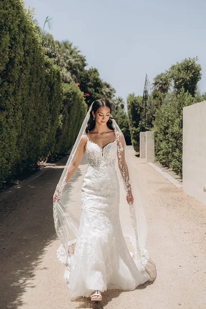 Stella York - 8050 | White Wisteria Bridal Boutique
