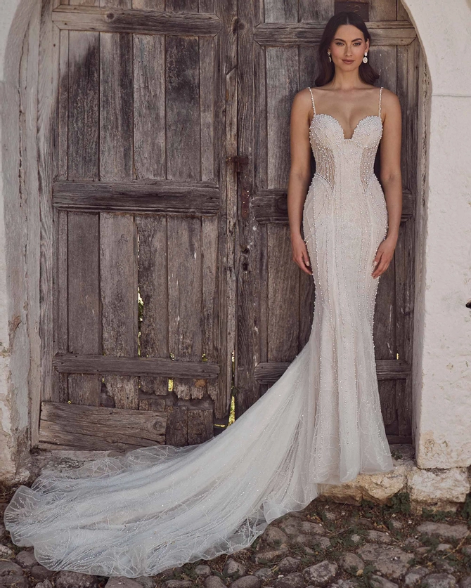 Calla Blanche - 125113 | The Winner