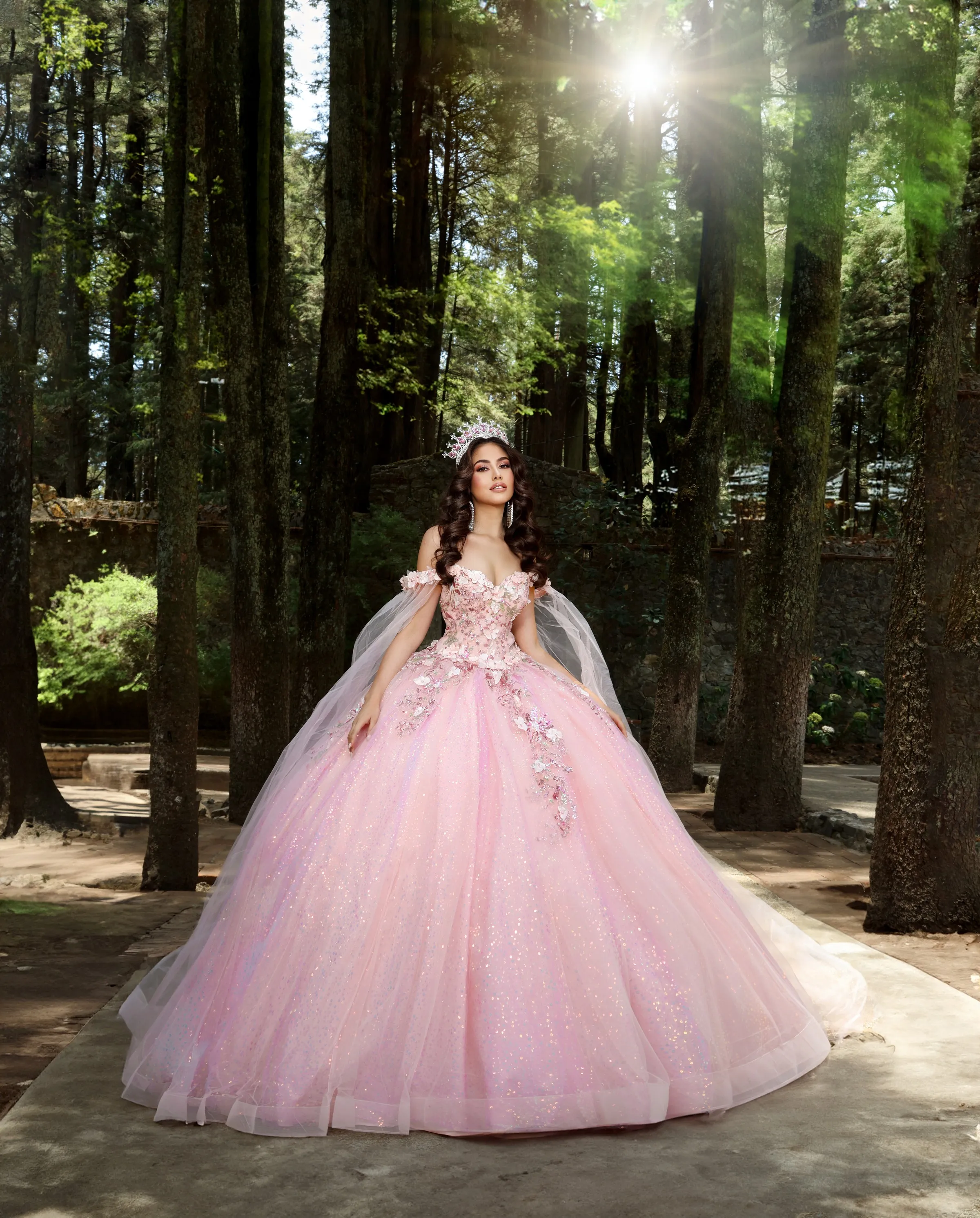Nina Canacci Quinceañera Spring 2025 Quinceanera Dresses | Twilight ...