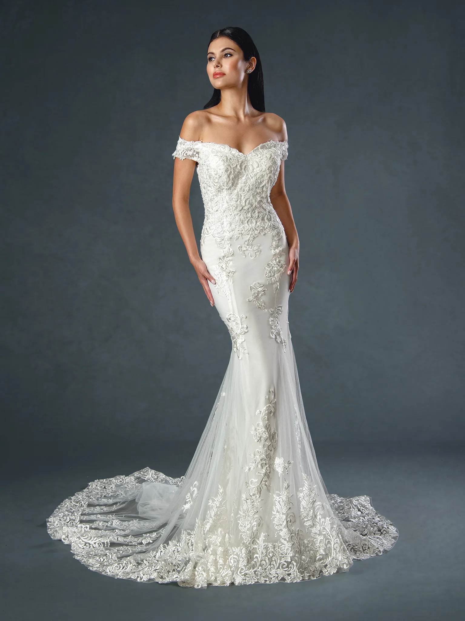 The Beth Collection Bridal Spring 2025 Bridal Dresses | 125 Bridal & Tux