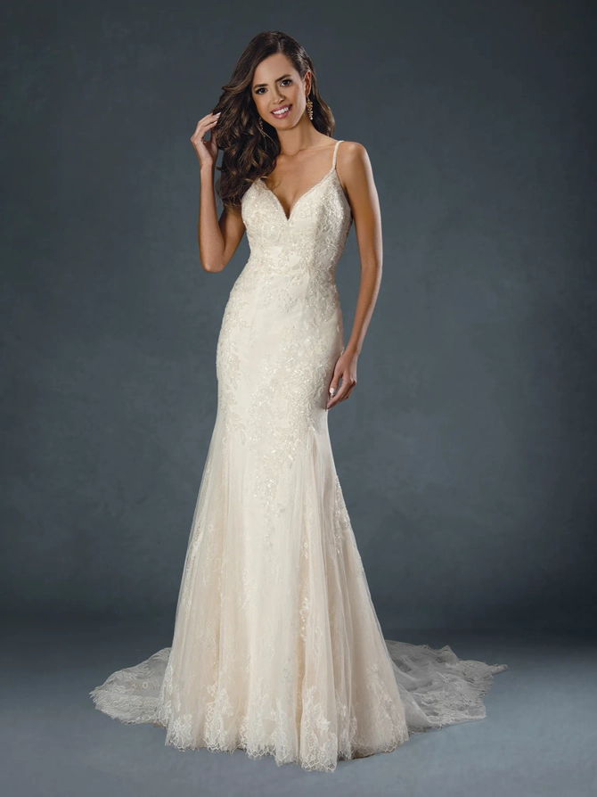 Stella Couture - 24506 | Lace & Veil Bridal Boutique