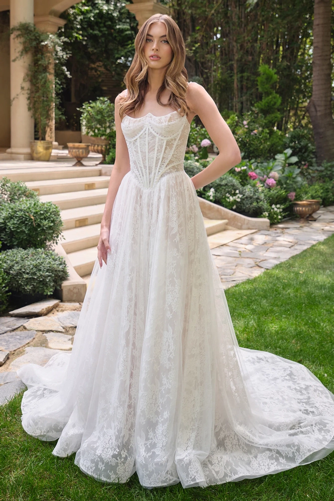 Andrea & Leo Couture - WL069 | Lex's of Carytown