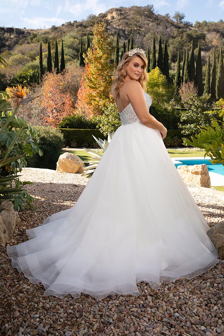 Curvy Collection - 2379C | The Something Blue Shoppe