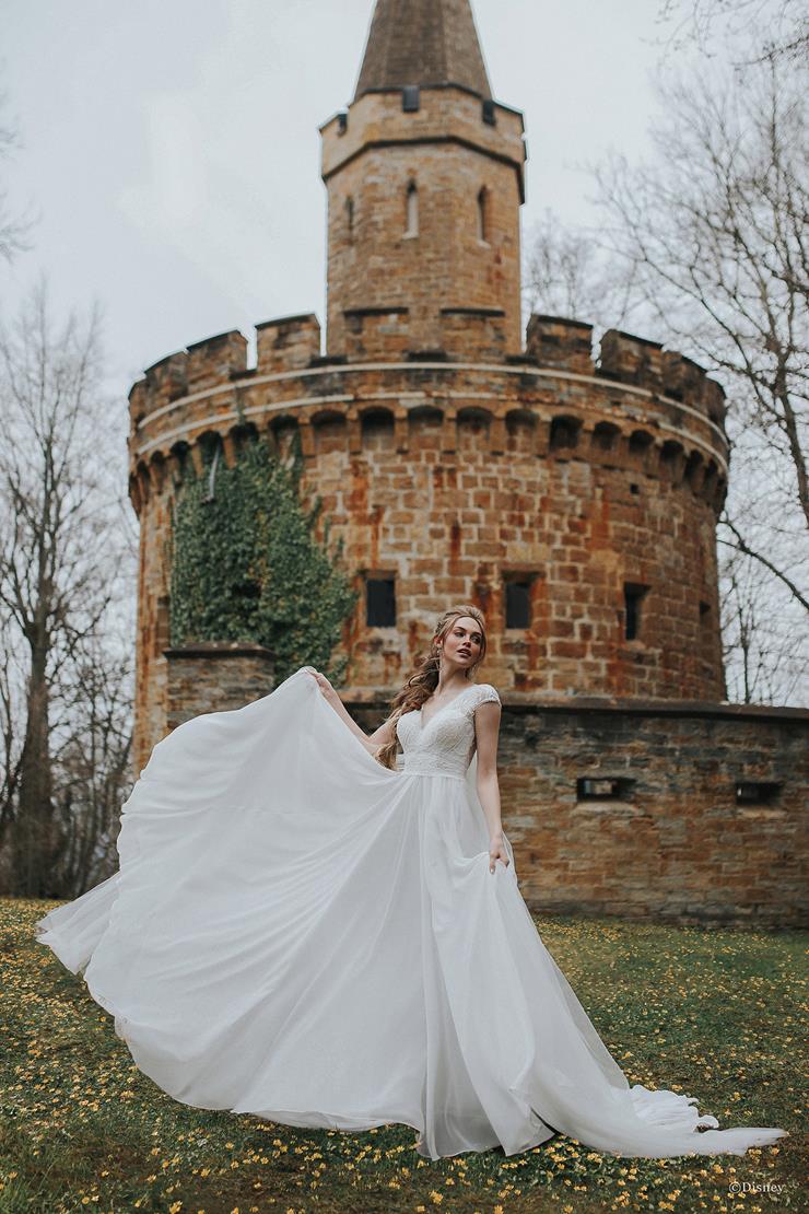 Disney Wedding Dresses Rapunzel