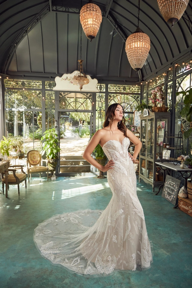 Casablanca | Bella Bridal Boutique - Beatrice | Bella Bridal Boutique