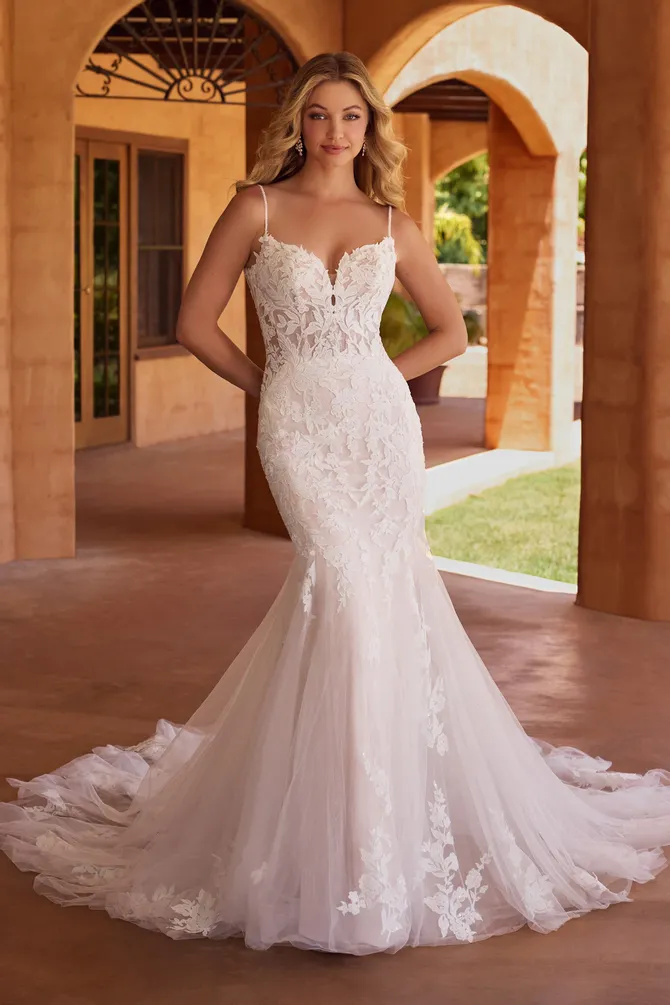 Sophia Tolli - Y3127 | Regiss